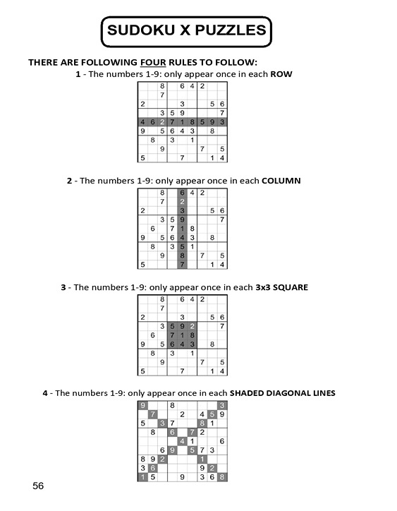 306 Large Print Sudoku Puzzles. 3 Variations. (PDF)